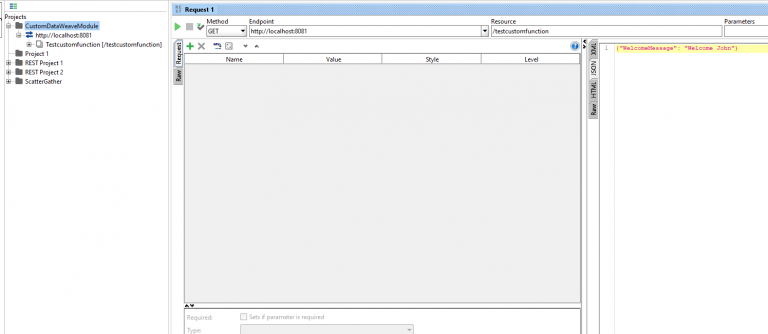 Custom DWL Function Using Custom Module - Mulesy