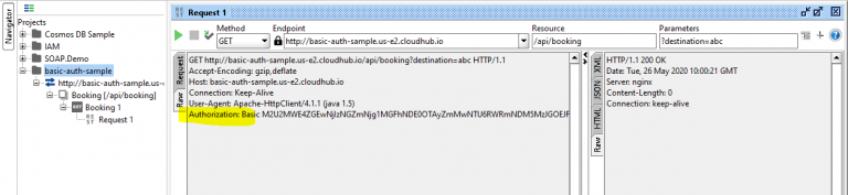 Basic Authentication Client Id Enforcement Api Manager Policy